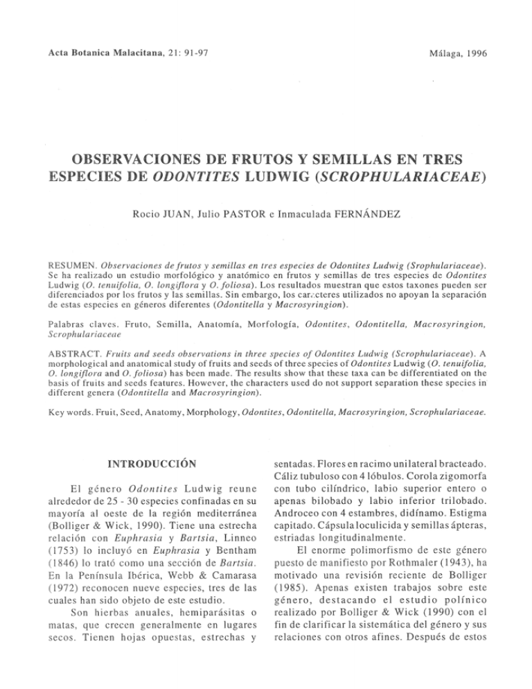 observaciones de frutos y semillas en tres