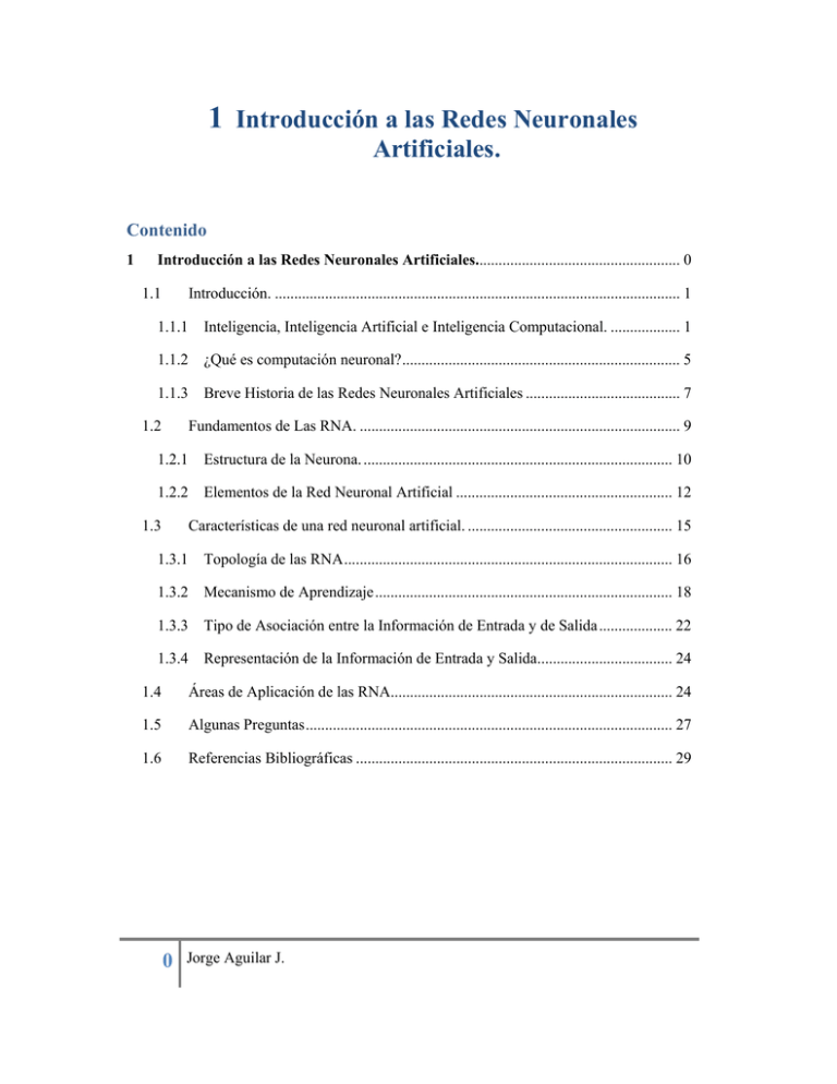 1 Introducción a las Redes Neuronales Artificiales.
