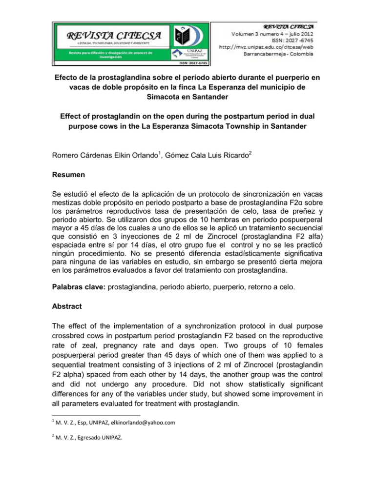 Imprimir este artículo