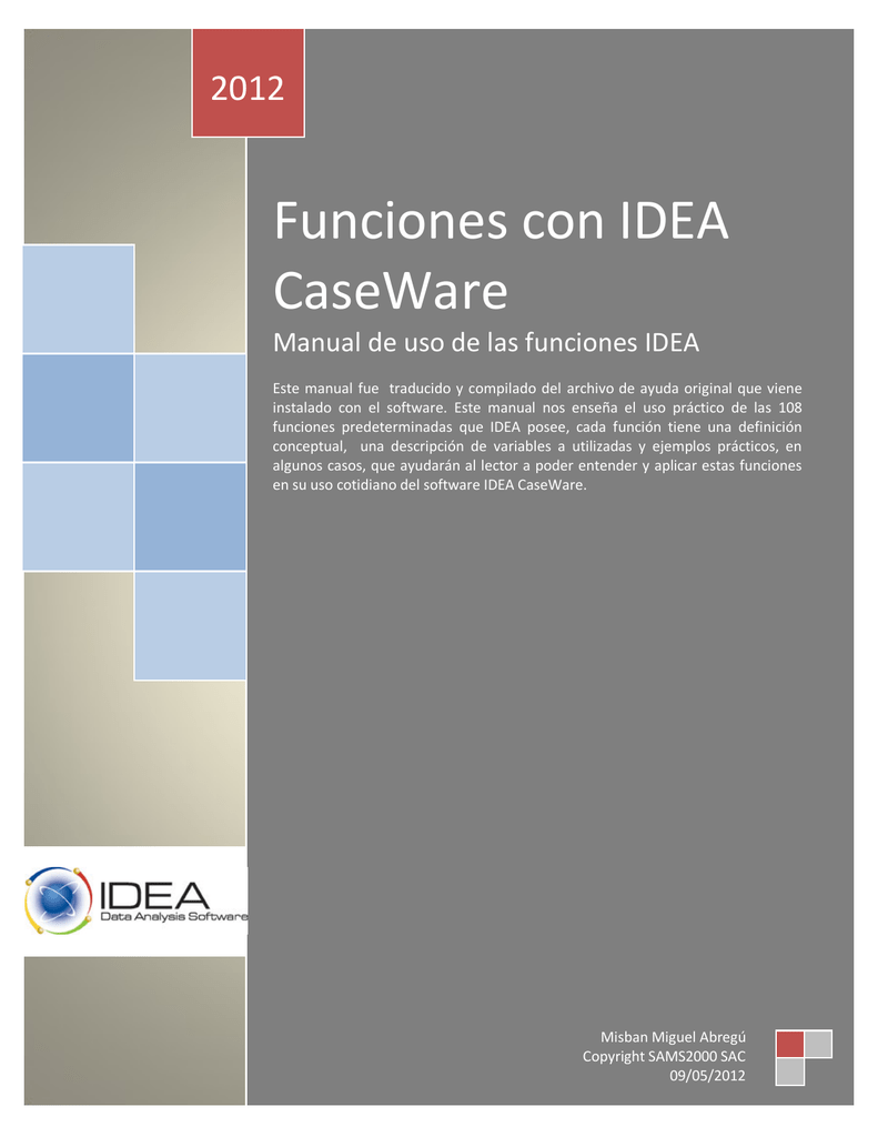 Funciones con IDEA CaseWare