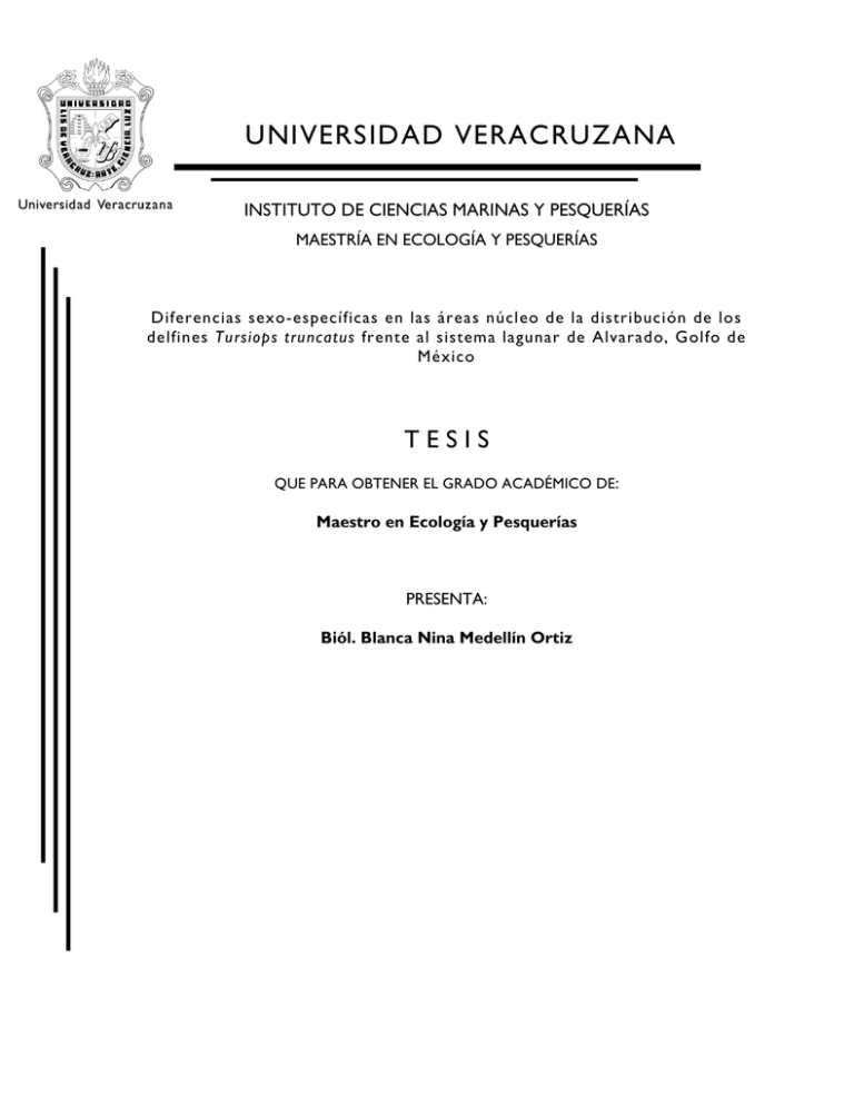 Tesis Nina Medellín - Universidad Veracruzana