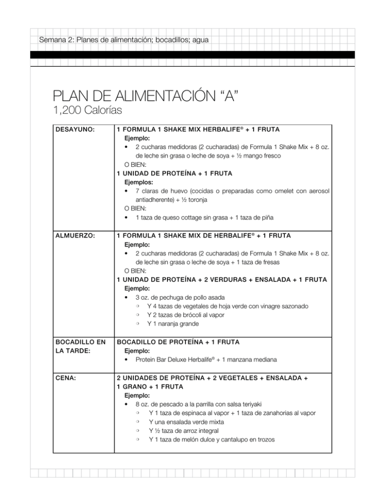 plan de alimentación