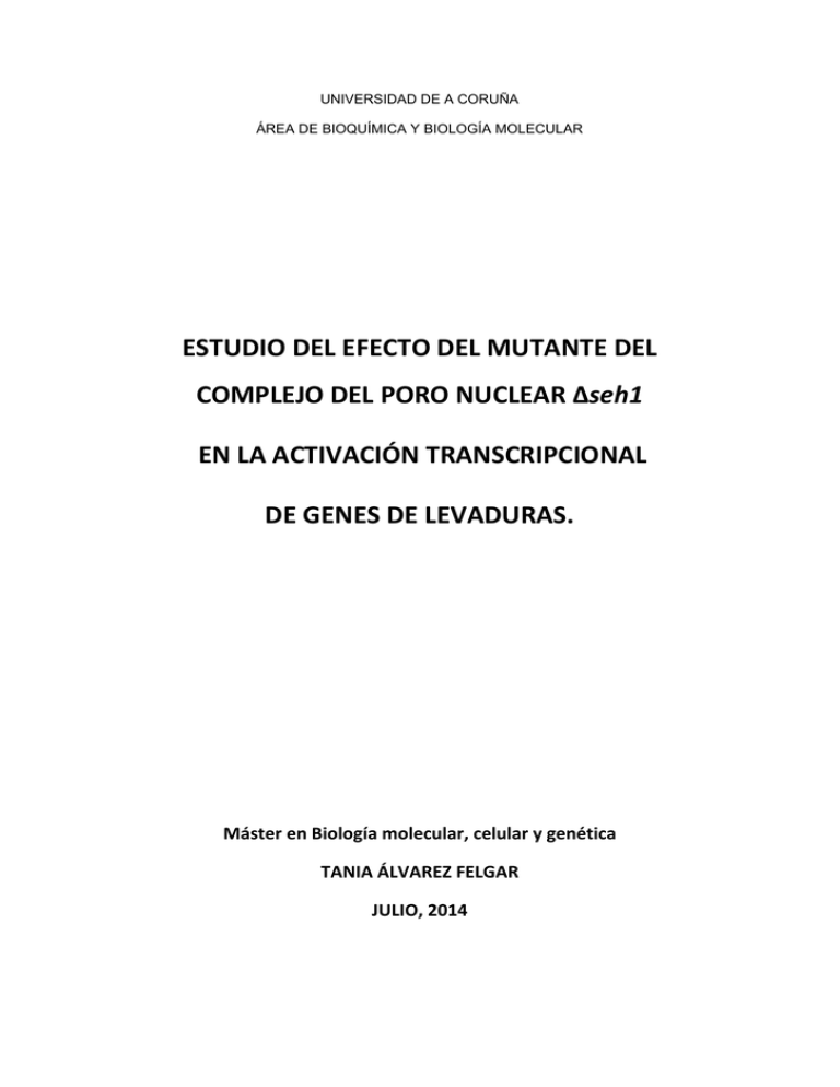 Estudio del efecto del mutante del complejo del poro nuclear