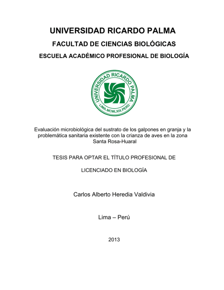 Descargar en PDF - Universidad Ricardo Palma