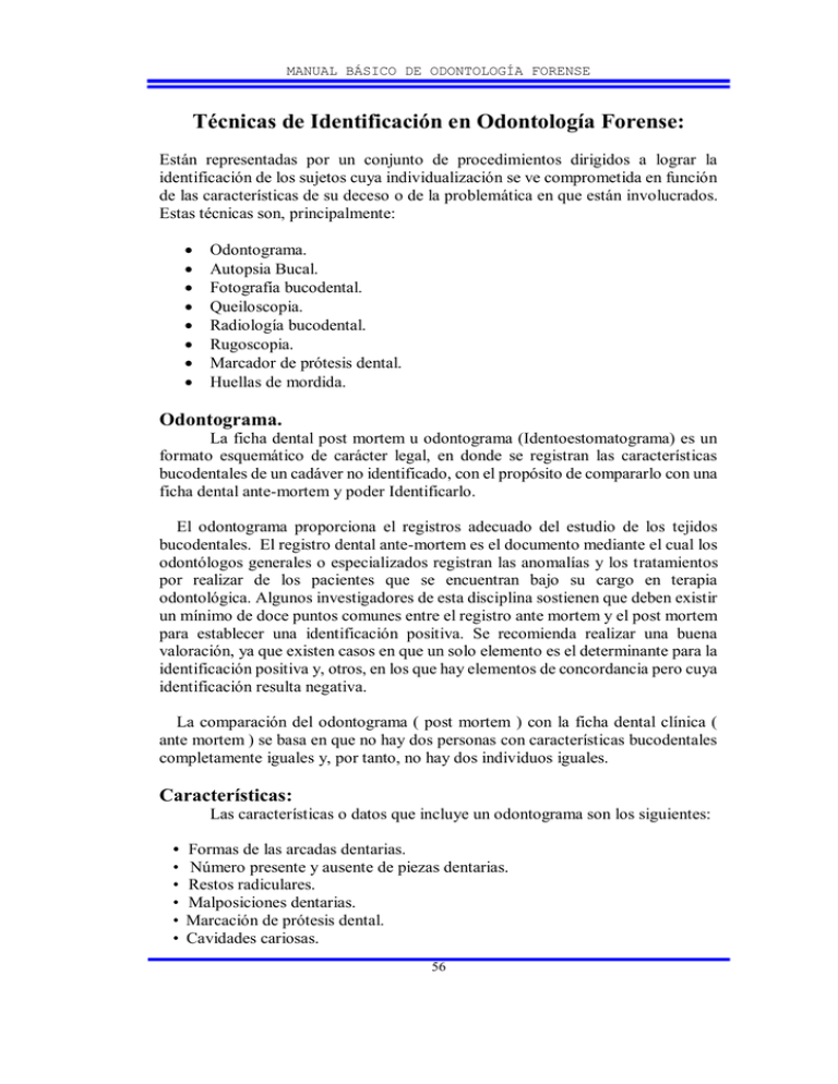 Técnicas de Identificación en Odontología Forense