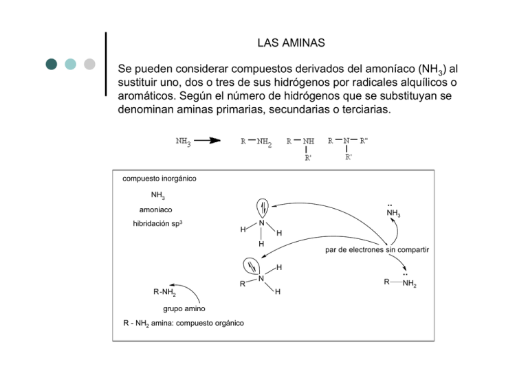 Tema 2 Aminas