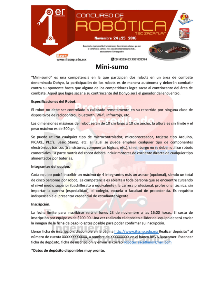 Lineamientos Minisumo