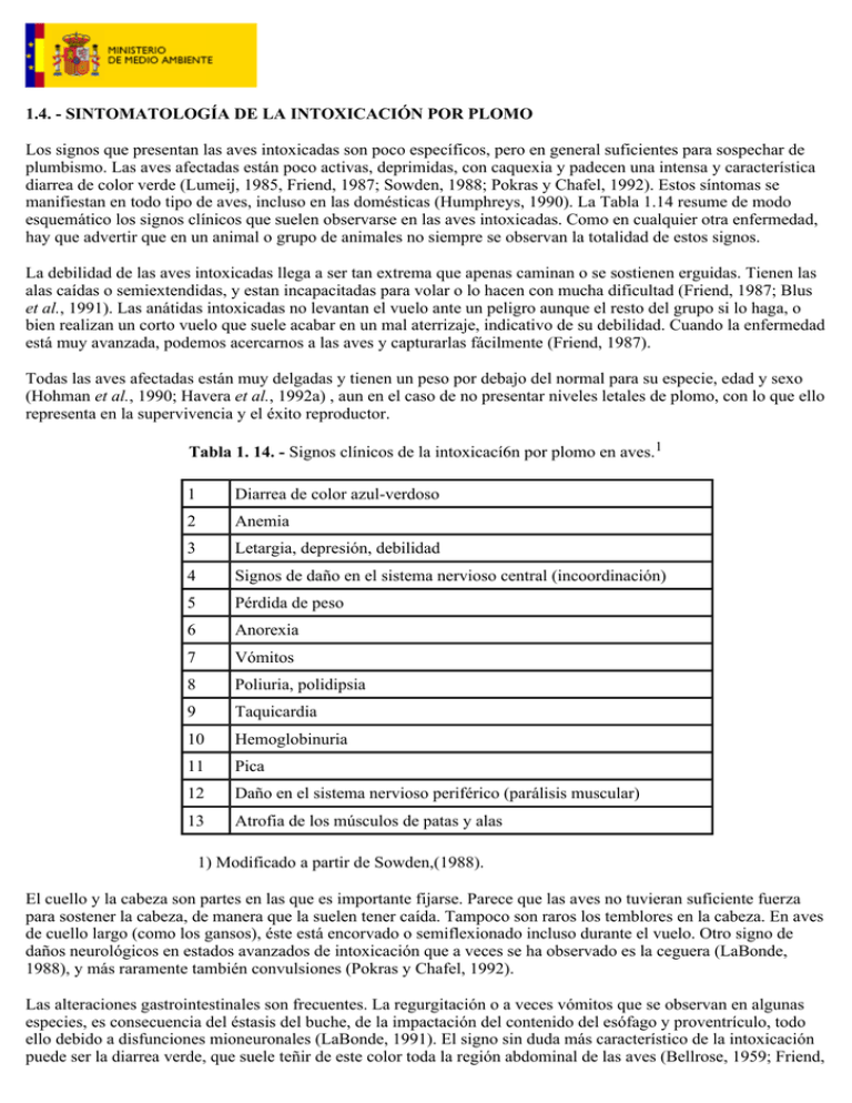 Sintomatología de la intoxicación por plomo