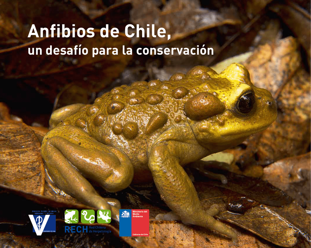 Anfibios de Chile, un desafío para la conservación (PDF