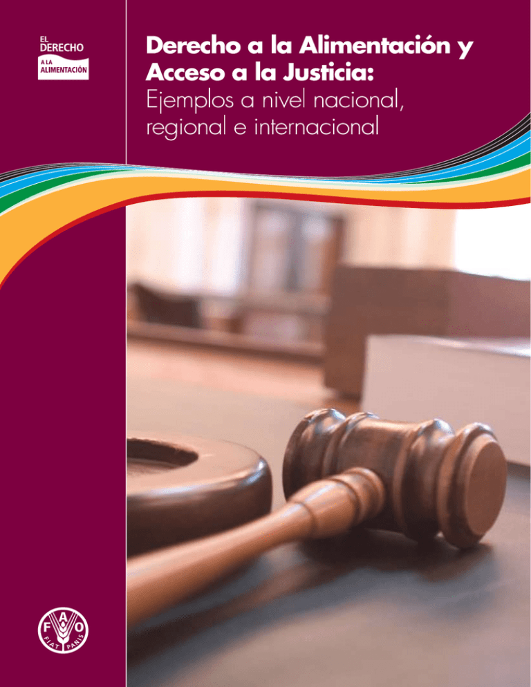 Derecho a la Alimentación y Acceso