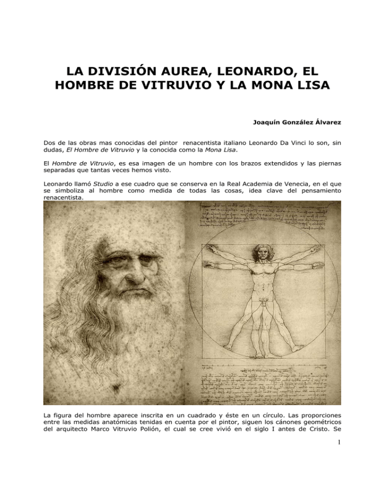 la división aurea, leonardo, el hombre de vitruvio y la