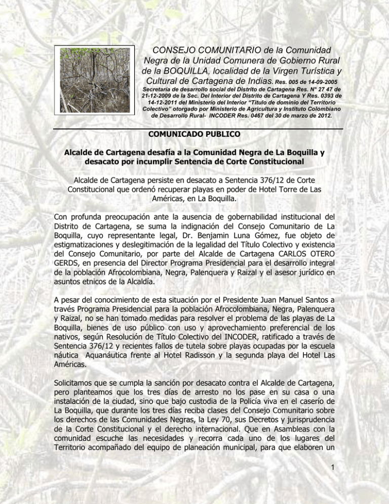 CONSEJO COMUNITARIO de la Comunidad Negra de la