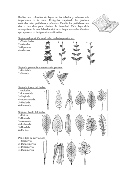 Clave dicotomía para identificar árboles