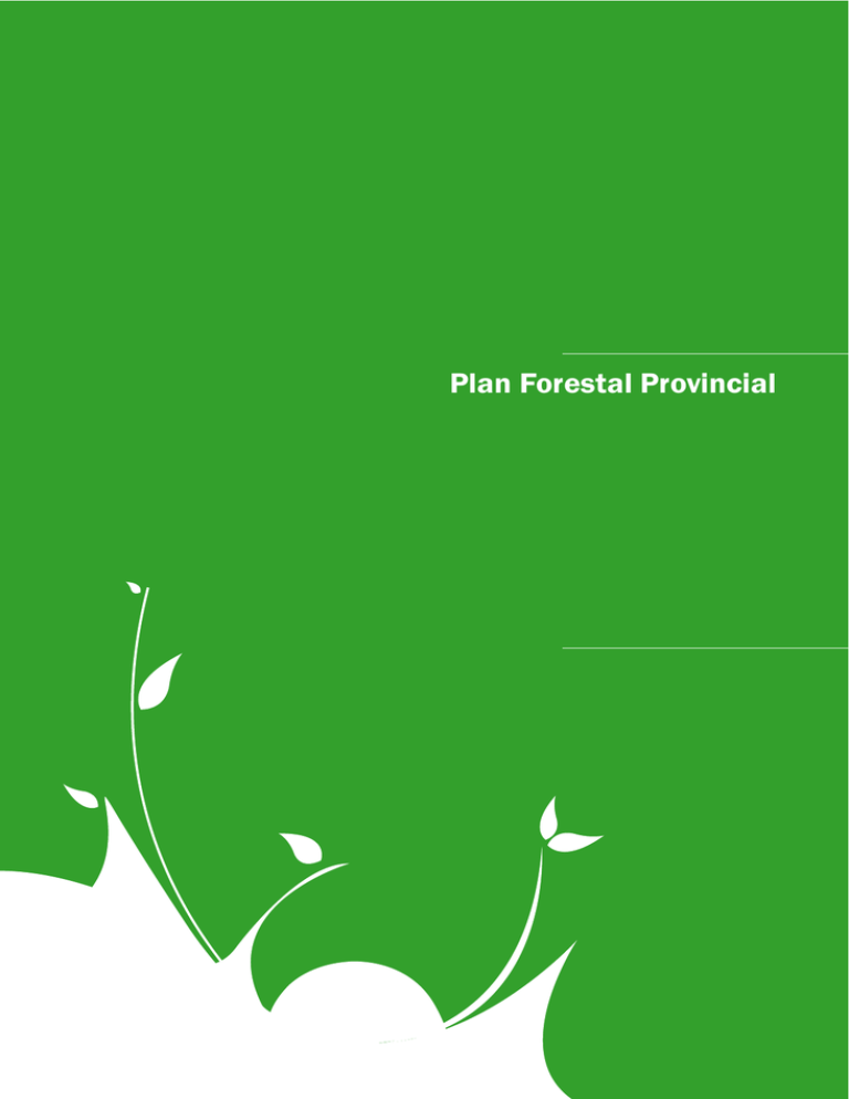 Plan Forestal Provincial - Inicio