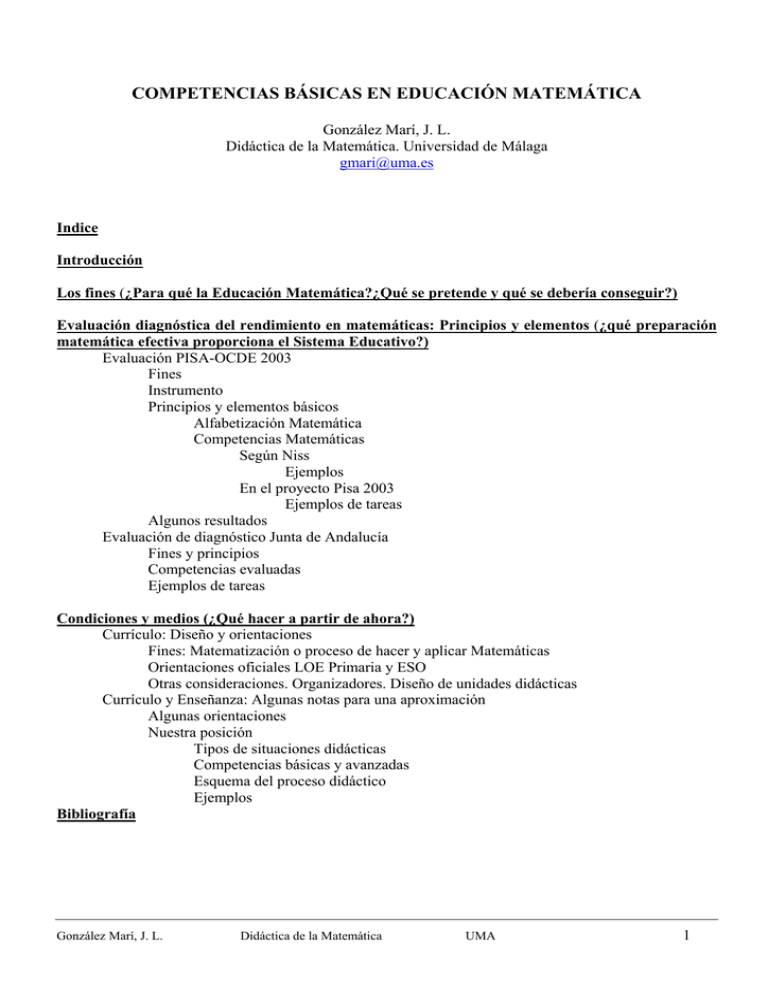 competencias básicas en educación matemática