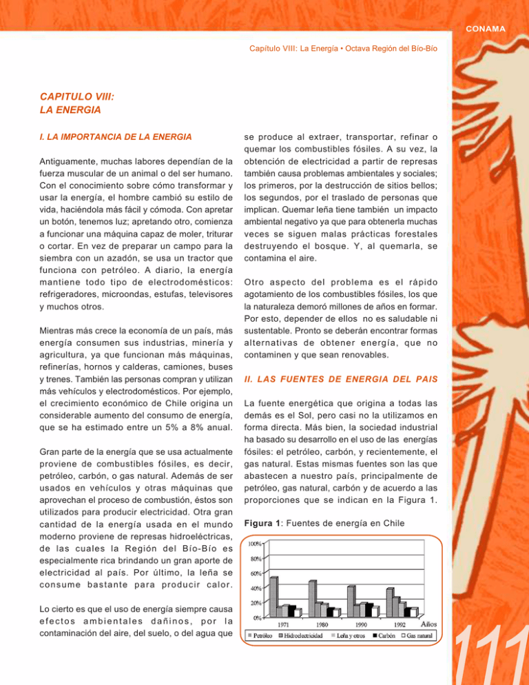 Cap tulo VIII Sistema Nacional De Informaci n Ambiental SINIA cap-tulo-viii-sistema-nacional-de-informaci-n-ambiental-sinia