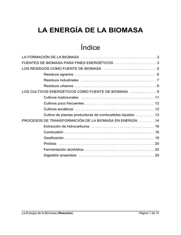 la energía de la biomasa