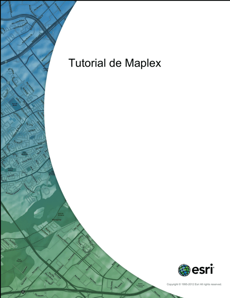 Maplex para ArcGIS - ArcGIS Server Help