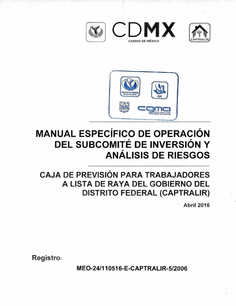 Manual Subcomité de Inversión y Análisis de - captralir
