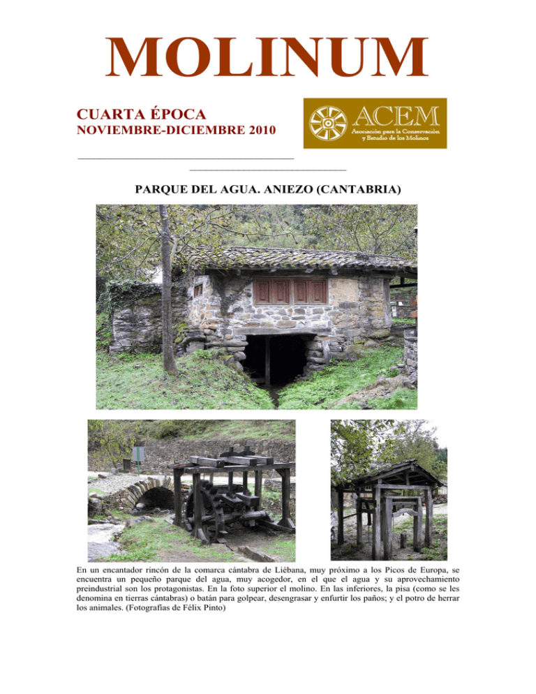 molinum noviembre/diciciembre 2010