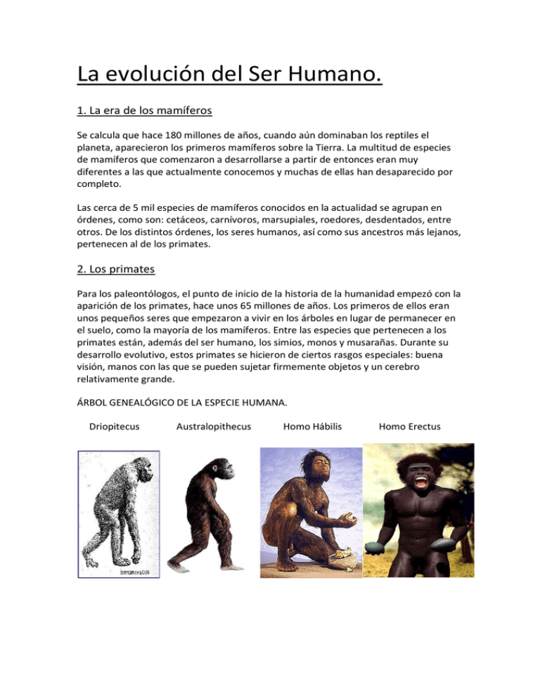 La evolución del Ser Humano. - evolucioncmc