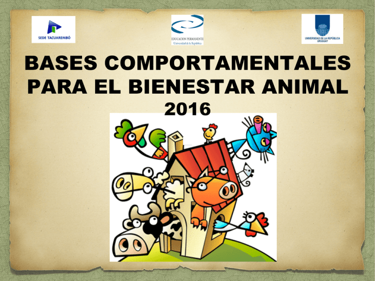Presentación - Comportamiento Animal Archivo