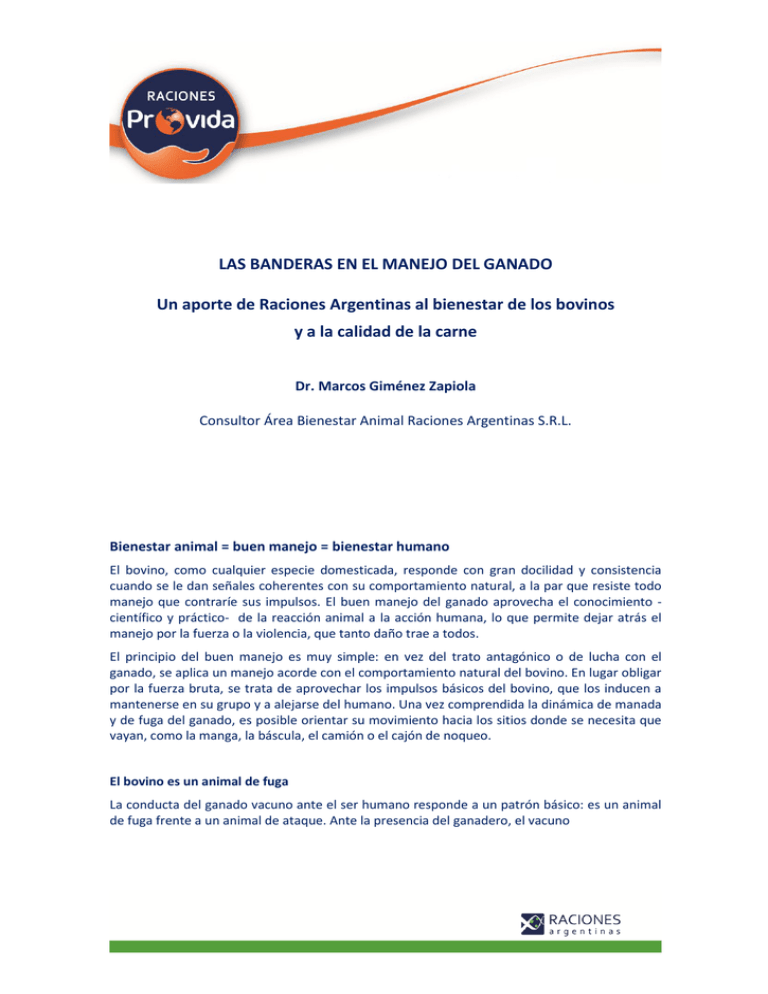 Guía práctica para el uso de banderas