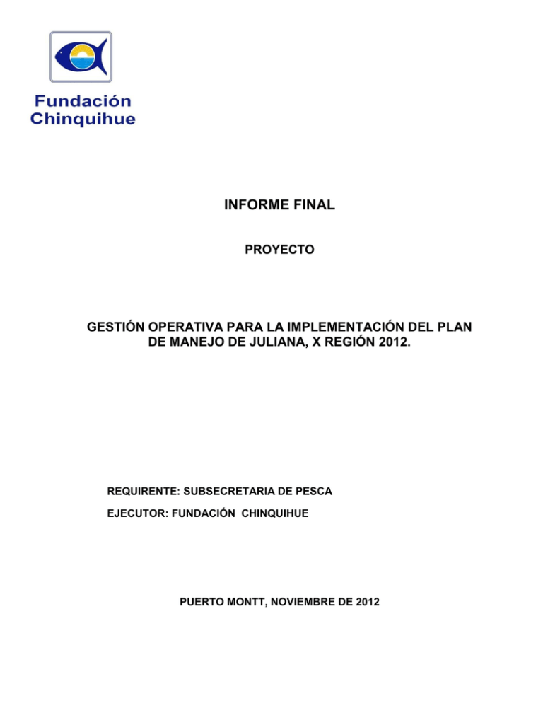 informe final