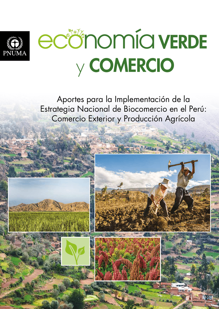 y COMERCIO VERDE