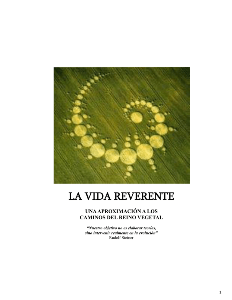 LA VIDA REVERENTE