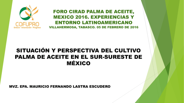 Situacion y Perspectivas del Cultivo Palma de Aceite