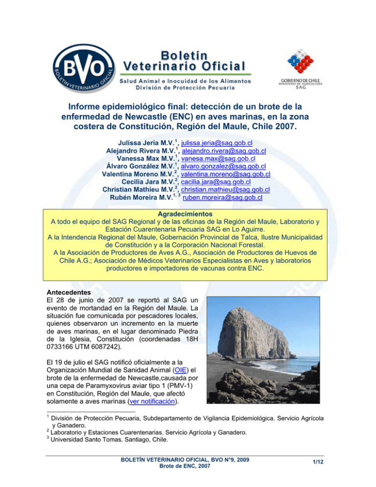 Informe epidemiológico final: detección de un brote de la