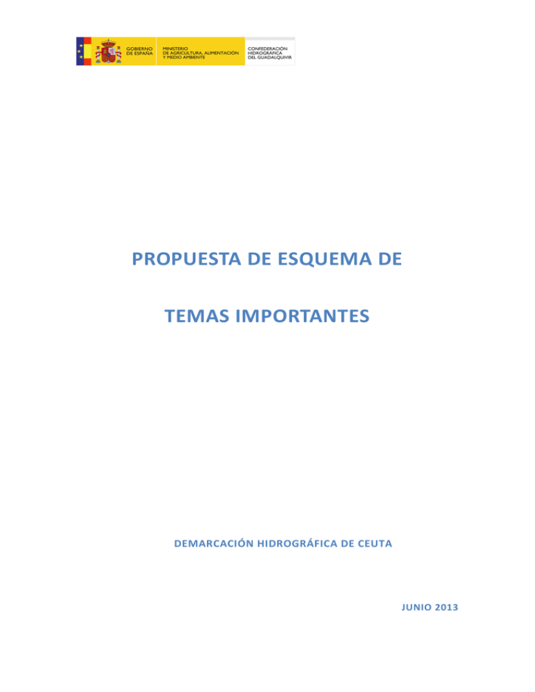 Propuesta de Esquema de Temas Importantes