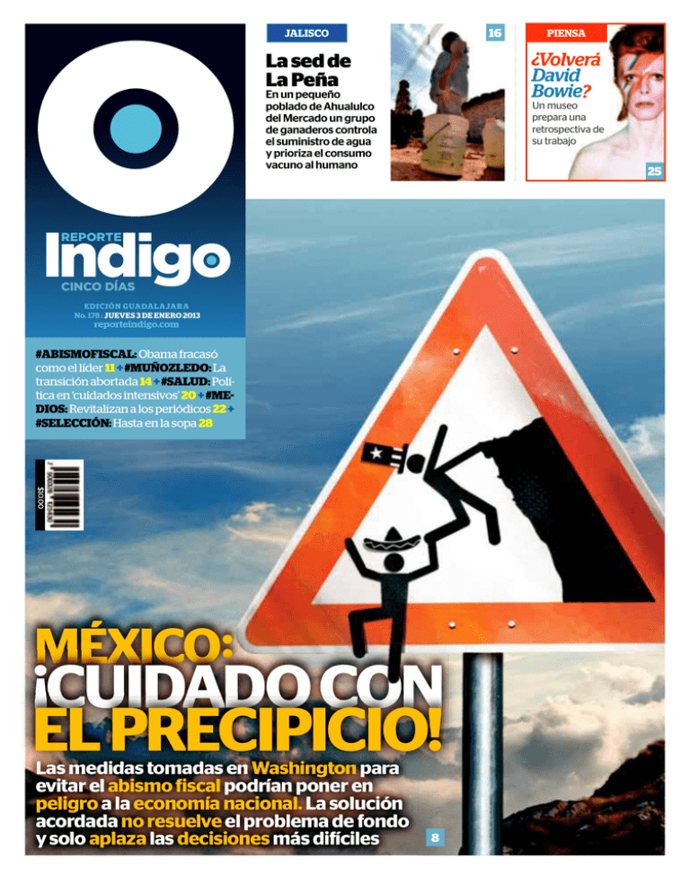 méxico - Reporte Indigo