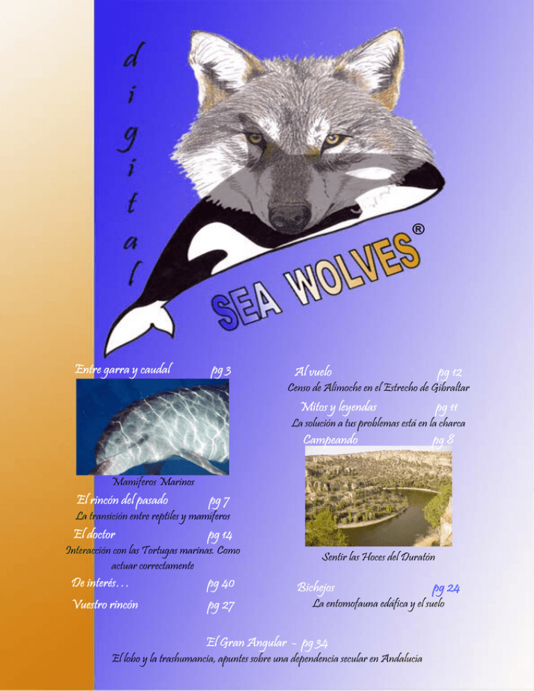 Sea Wolves digital 1