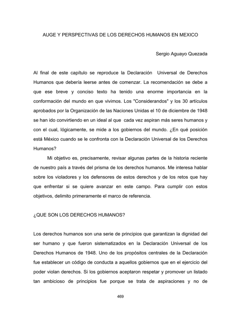 AUGE Y PERSPECTIVAS DE LOS DERECHOS HUMANOS EN