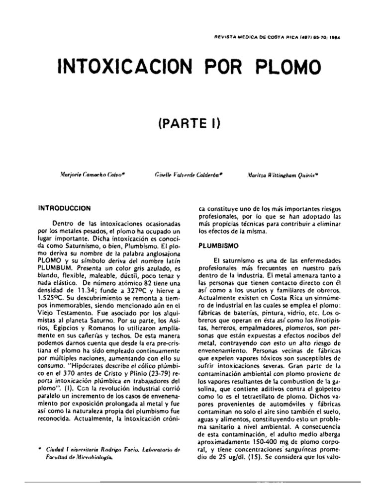intoxicacion por plomo