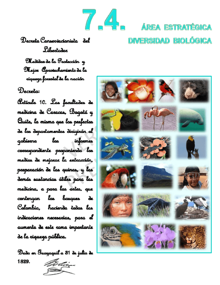 Diversidad Biológica