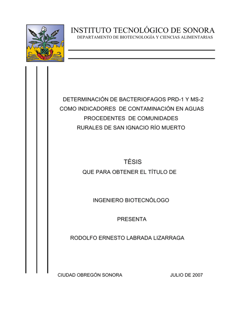 instituto tecnológico de sonora - Biblioteca