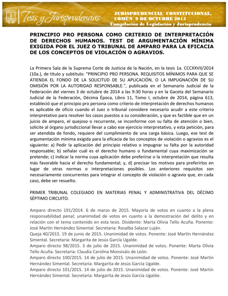 principio pro persona como criterio de interpretación de derechos