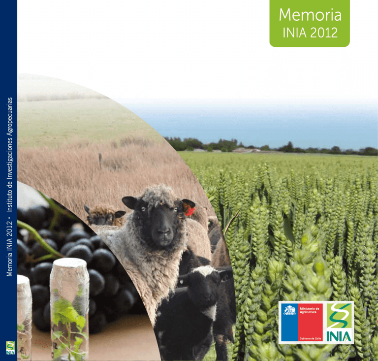 Memoria Anual INIA 2012