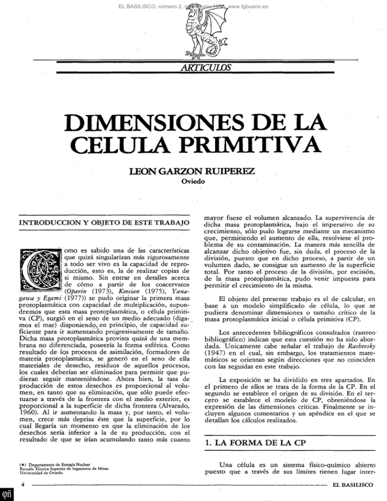 DIMENSIONES DE LA CÉLULA PRIMITIVA