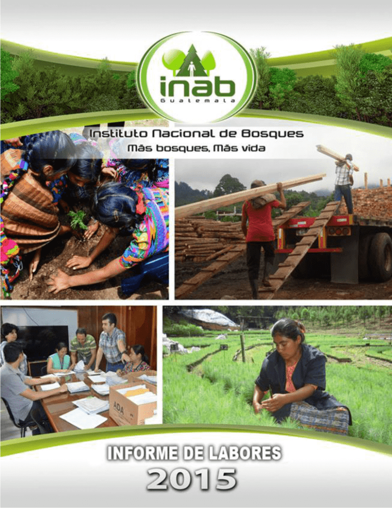 Información aqui - Instituto Nacional de Bosques