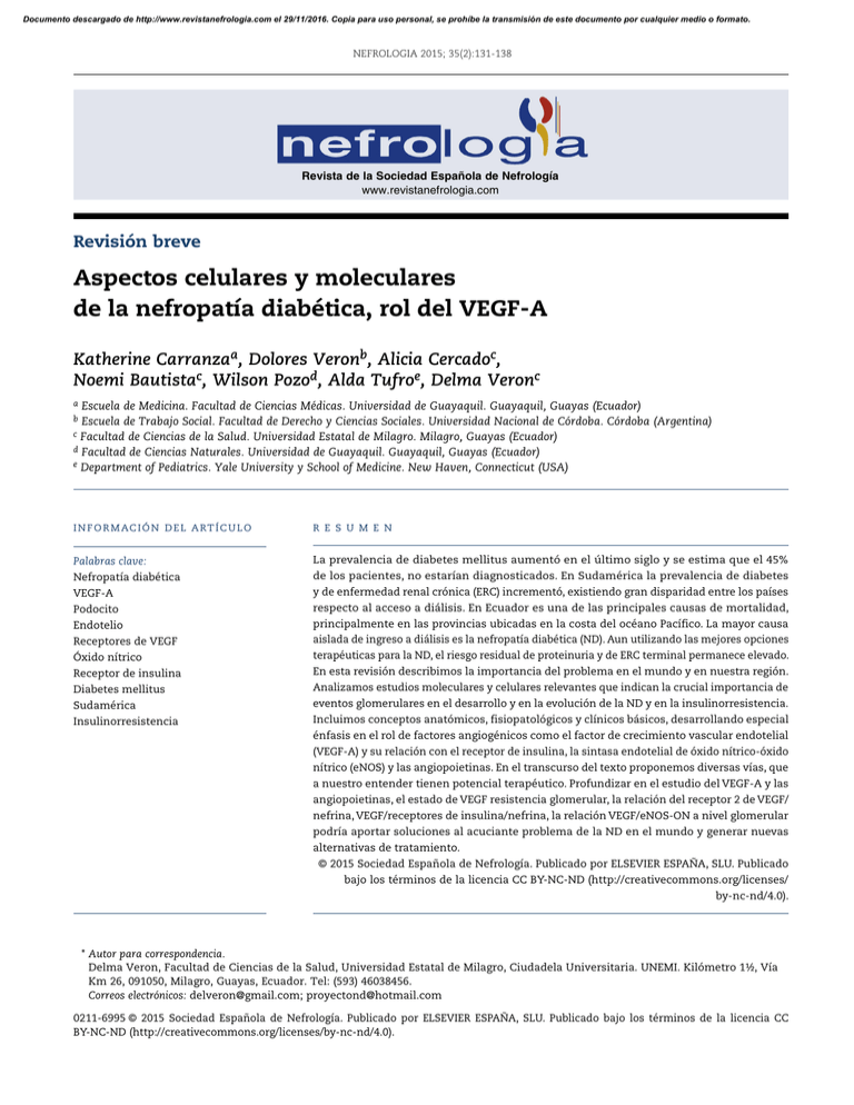 Aspectos celulares y moleculares de la nefropatía