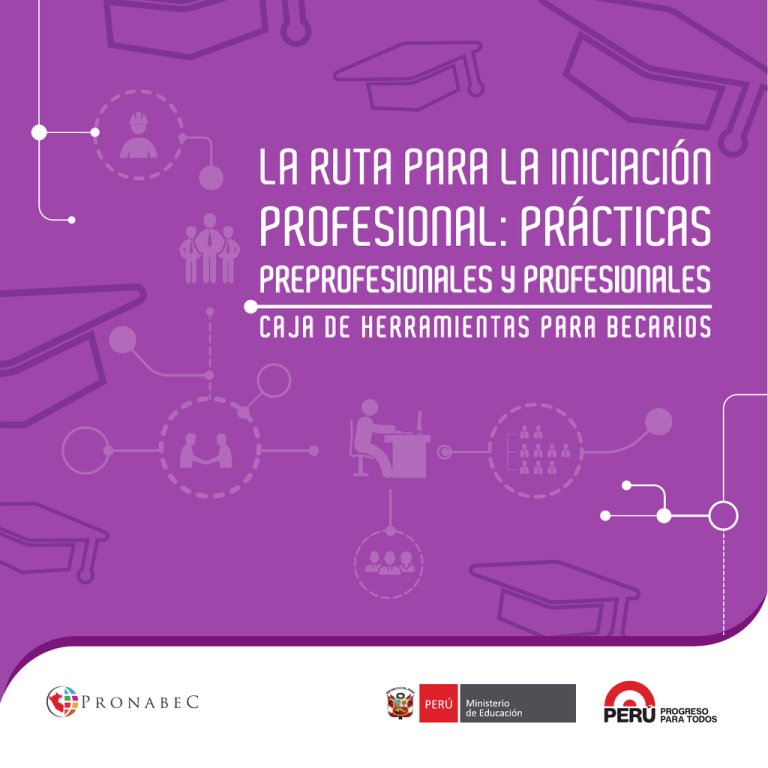 practicas pre-profesionales y profesionales