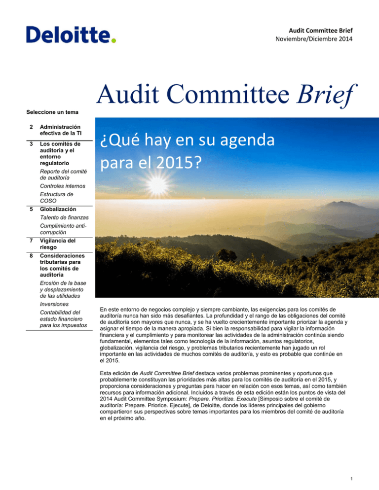 Audit Committee Brief