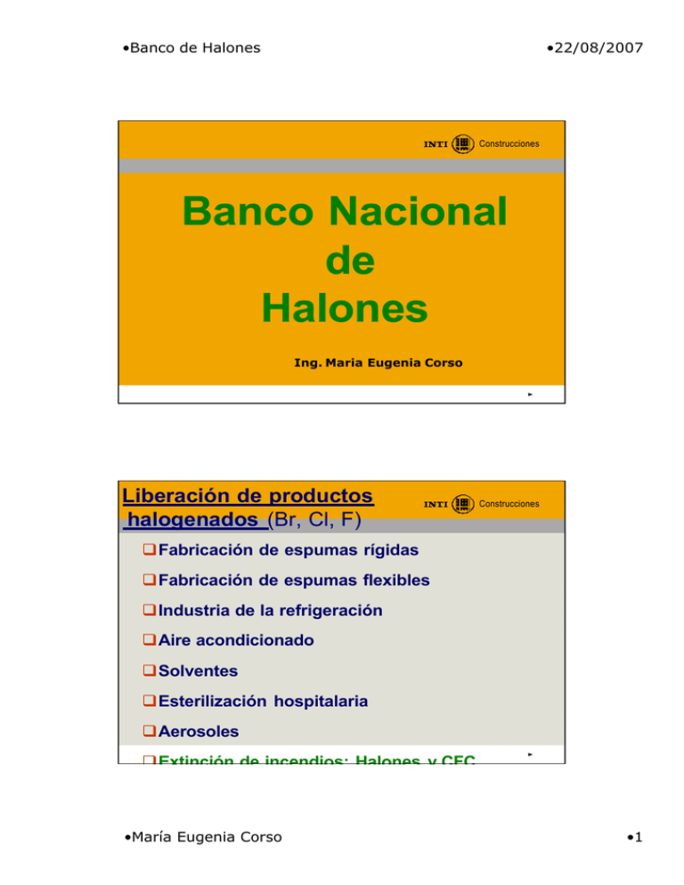 Banco de Halones