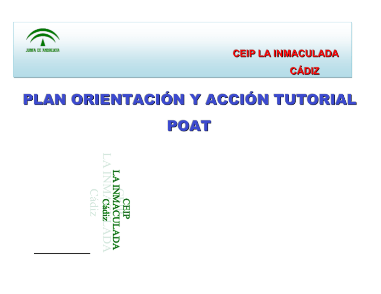 Plan organización y acción tutorial