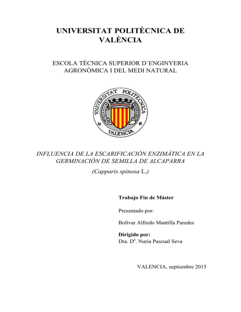 universitat politècnica de valència
