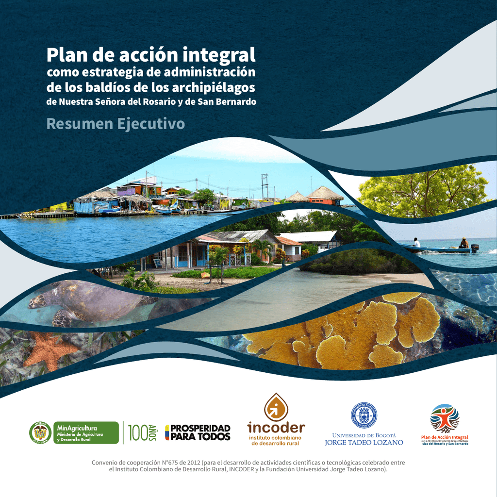 resumen-ejecutivo-plan-de-accion-integral-como-estrategia